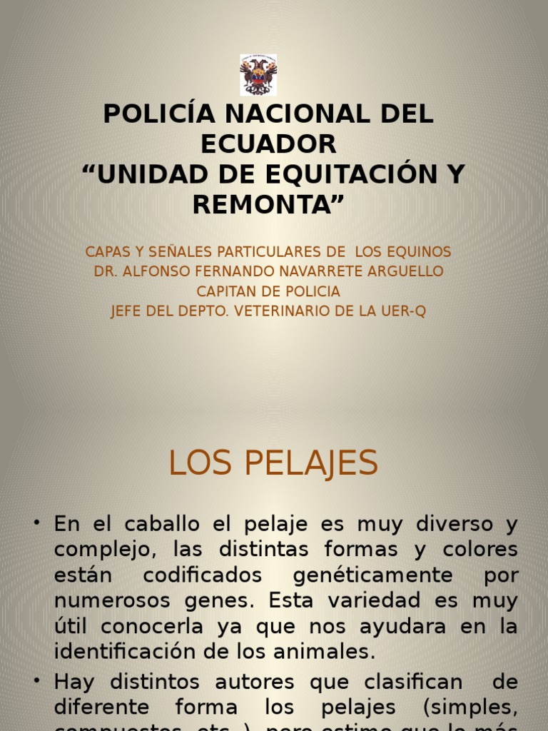 Características y Tipos de Pelajes en Caballos | PDF | Naturaleza
