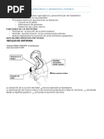 PDF Farmacos+Uteroinhibidores+ (Tocoliticos) | PDF | Parto | Hipertensión