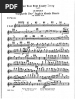 Frank฀Ticheli: Nitro | PDF | Clarinet | Brass Instruments