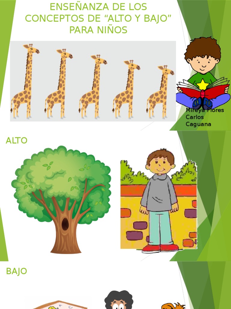 Conceptos de Alto y Bajo para Niños | PDF
