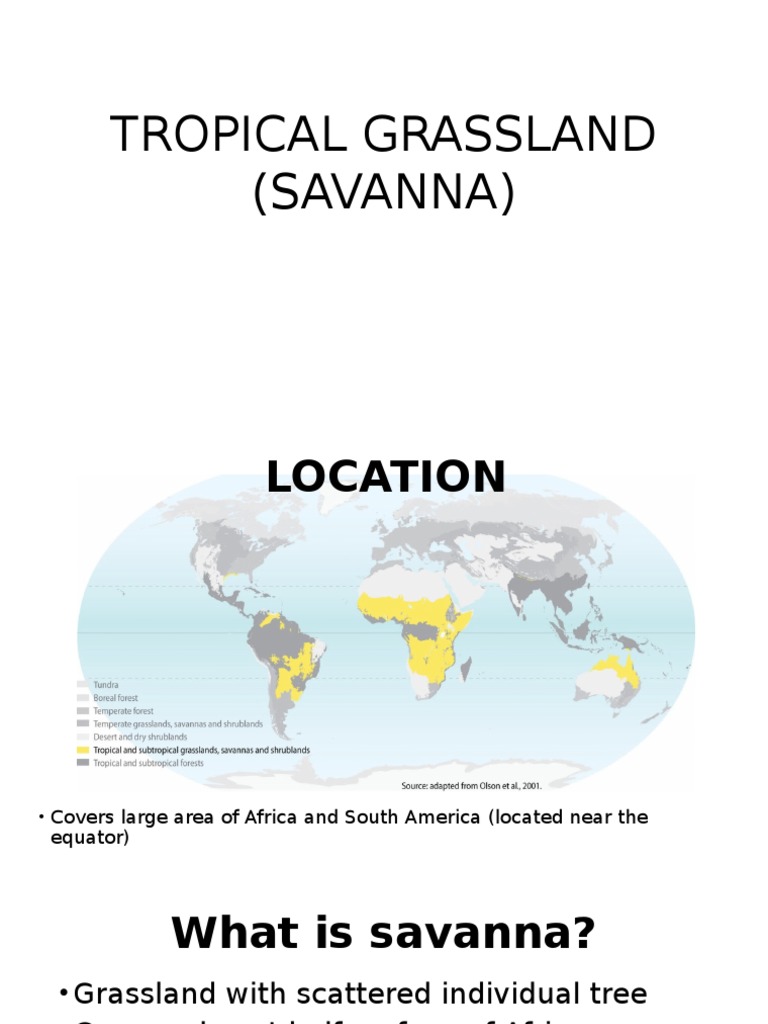 Tropical Grassland Biome Map