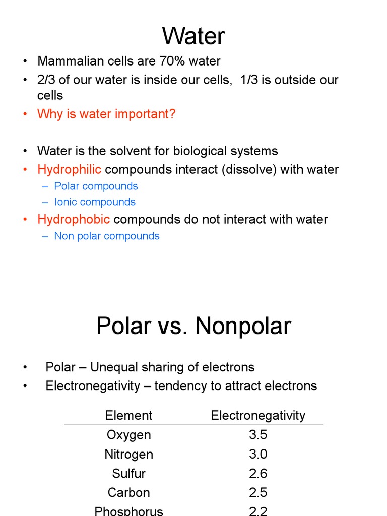 Water Powerpoint | PDF | Chemical Polarity | Hydrogen Bond