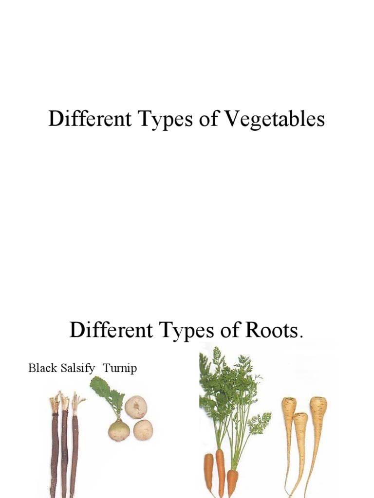 Continental Vegetable Varieties List | PDF | Vegetables | Onion