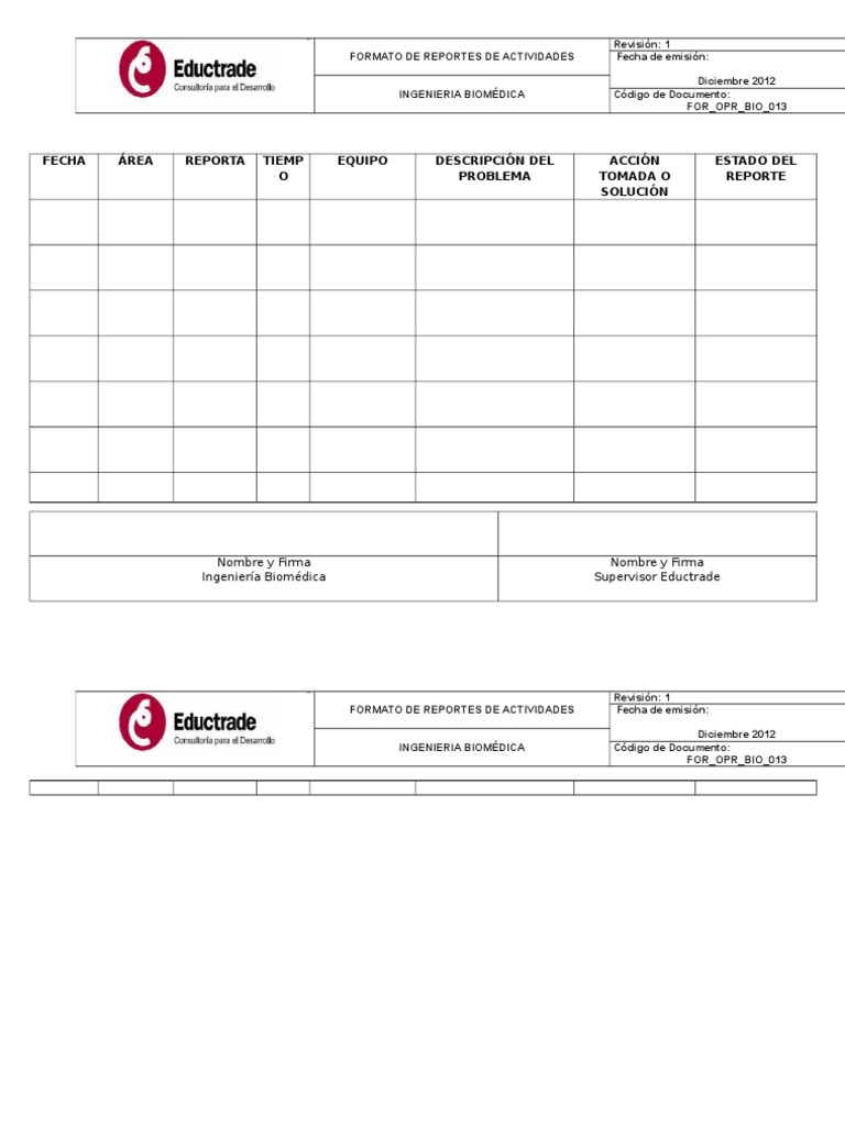 Formato de Reporte de Actividades | PDF