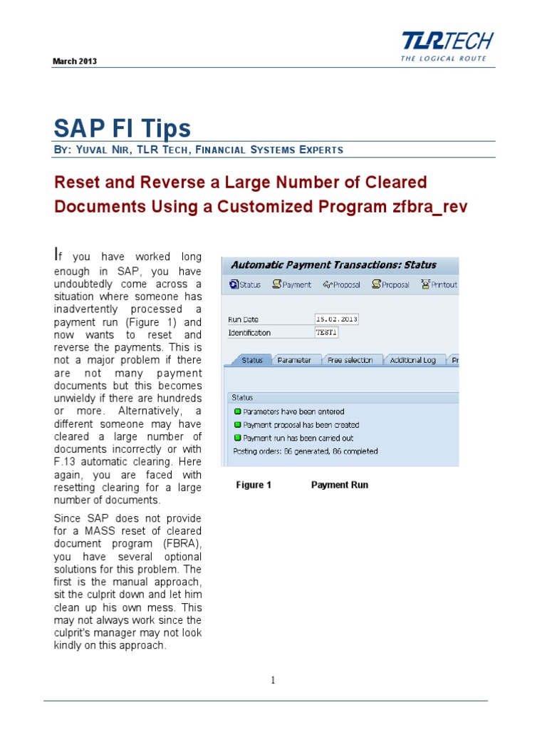 Sap Fi Tips 032013 | PDF | Areas Of Computer Science | Cyberspace