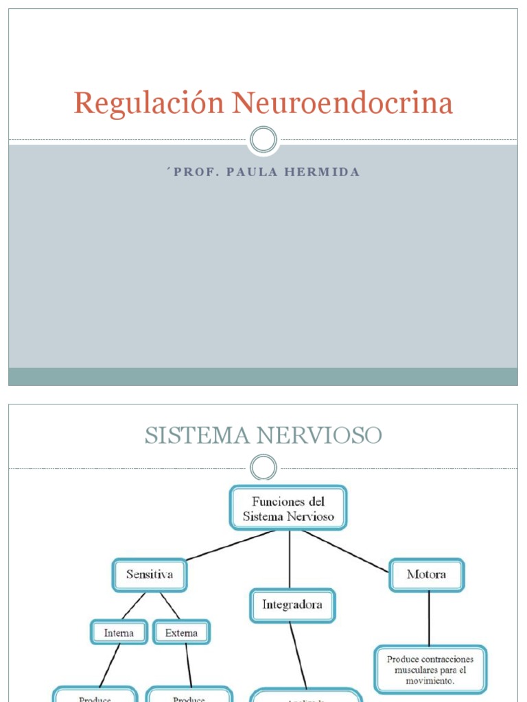 Regulación Neuroendocrina | PDF