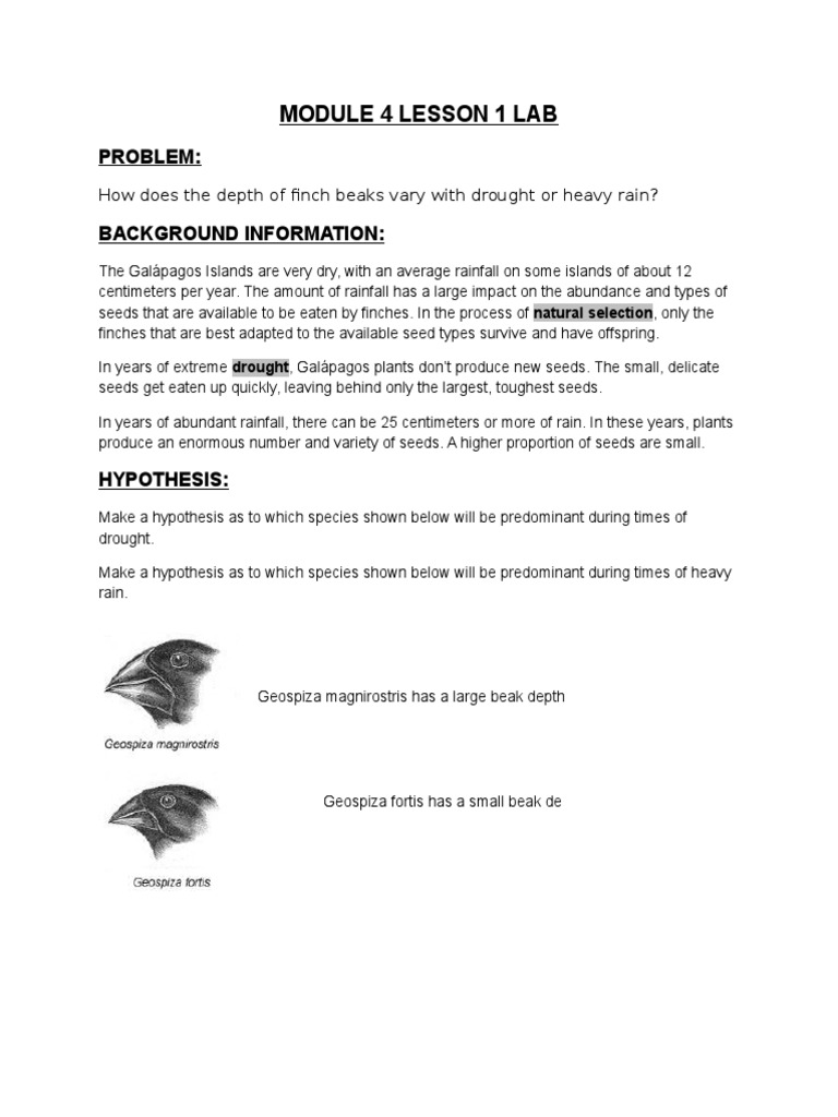 Module 4 Lesson 1 Lab | PDF | Rain | Natural Selection