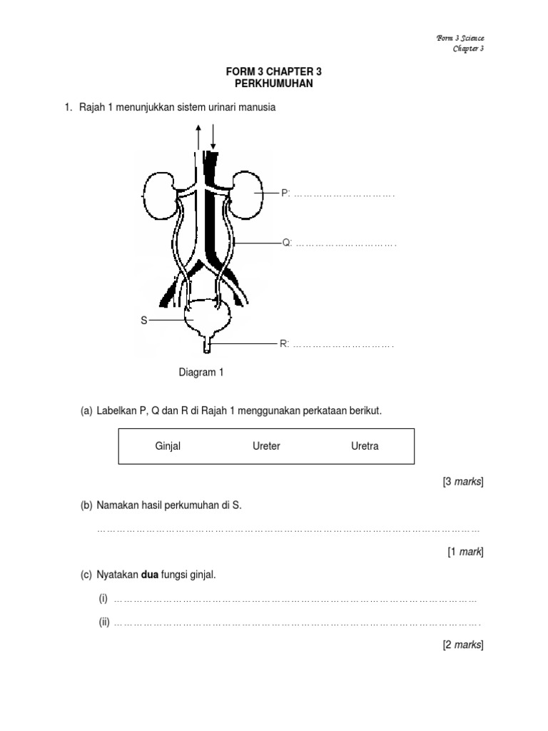 Latihan Sains Form 3 Chapter 3 | PDF