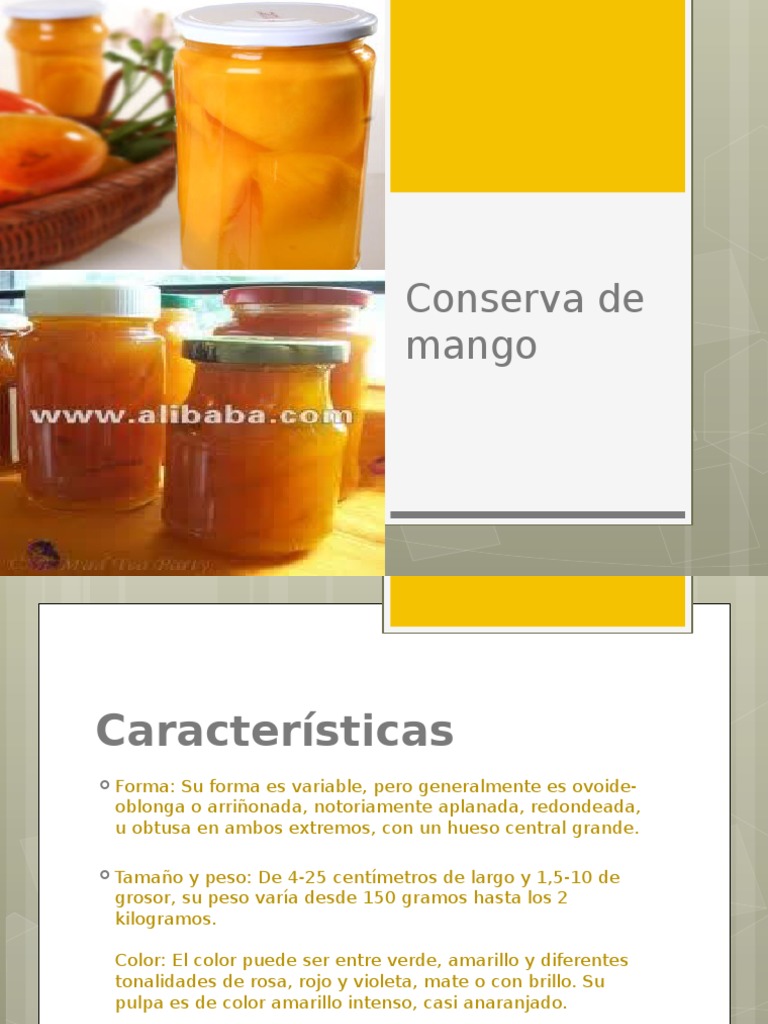 Conserva de Mango | PDF | Estilo de vida