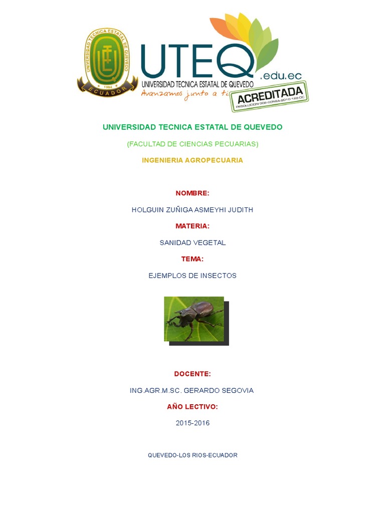 Ejemplos de Insectos de Cada Orden | PDF