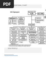 DOH Organizational Chart & Roles | PDF
