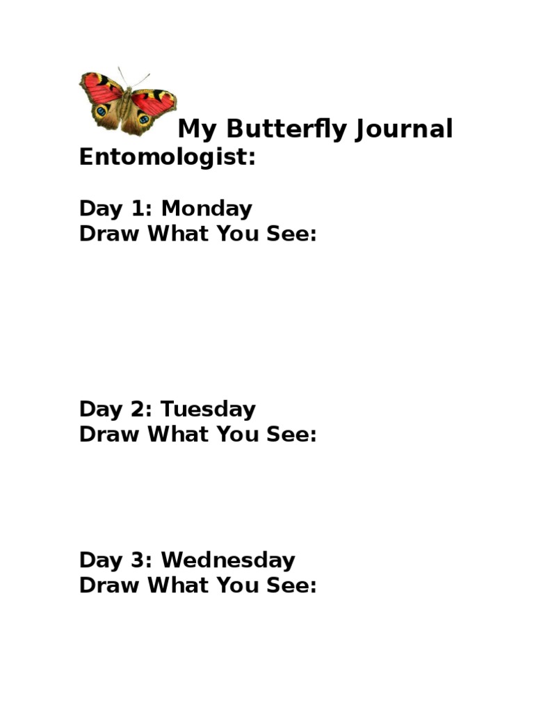 Butterfly Observation Diary | PDF | Wellness