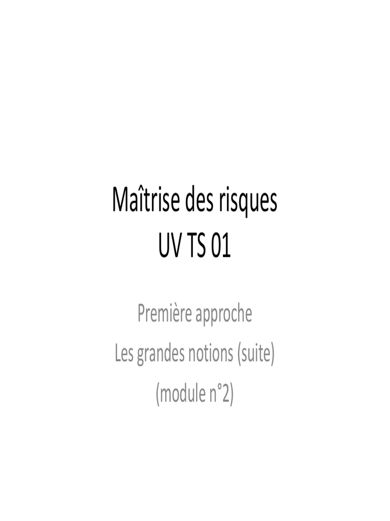Module 2 Perception Des Risques | PDF