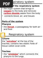 RESPIRATORY SYSTEM WORKSHEET Answer Key | PDF | Respiratory Tract ...