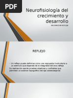 Reflejo Cremasterico | PDF