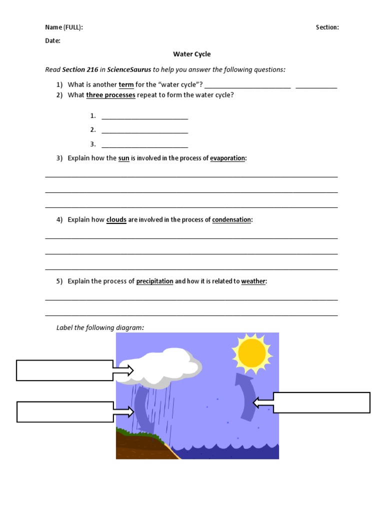 Water Cycle Overview and Diagram | PDF