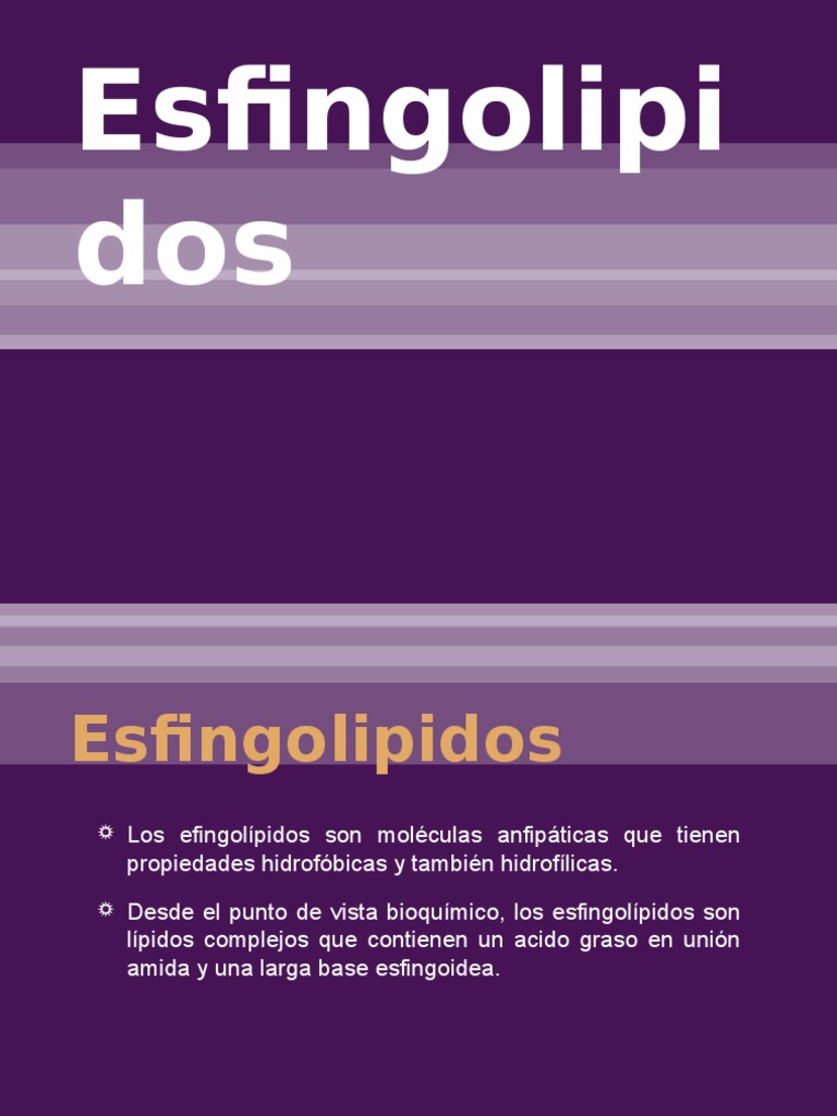 Esfingolipidos 130520203036 Phpapp01 | PDF | Lípido | Moléculas activas ...
