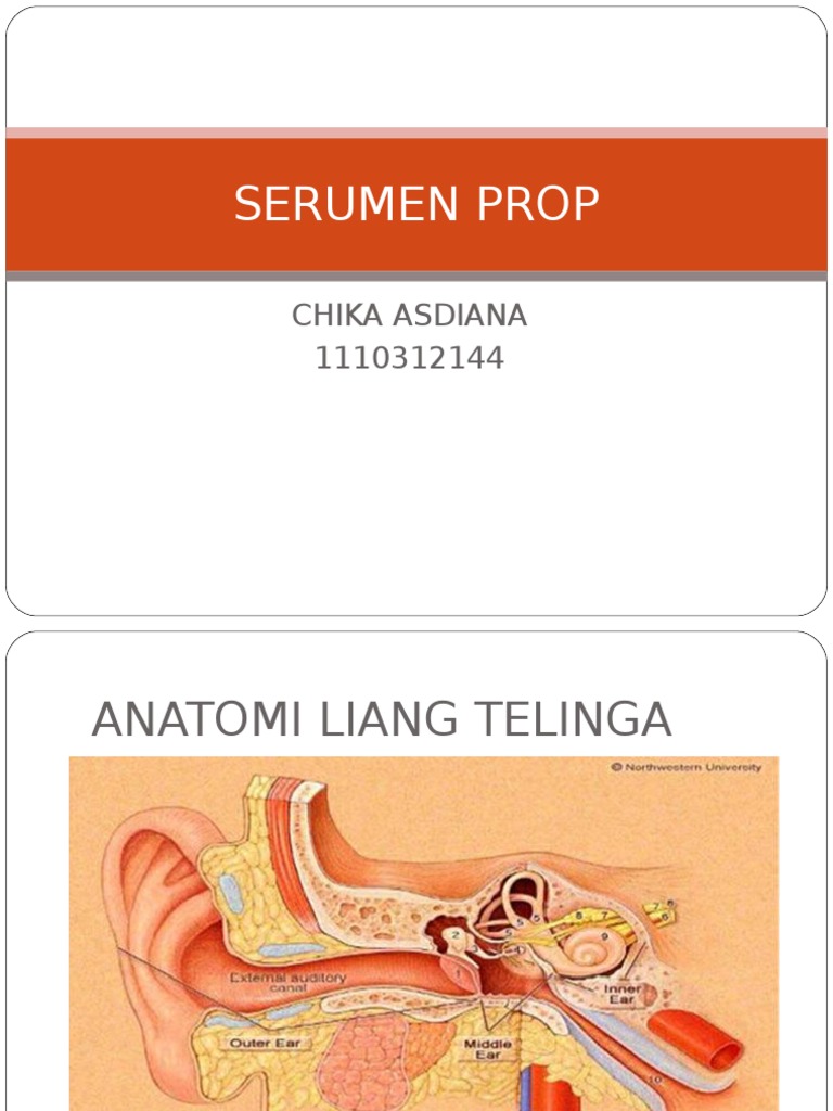 Anatomi Liang Telinga & Fungsi Serumen | PDF
