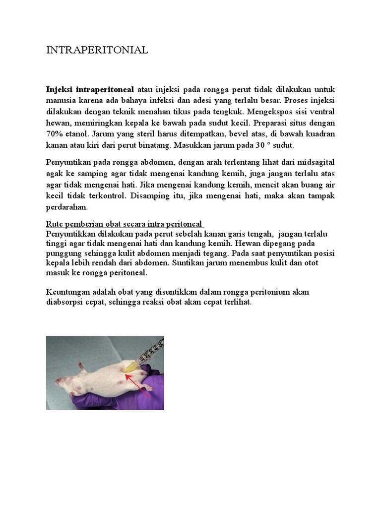 Intraperitonial | PDF