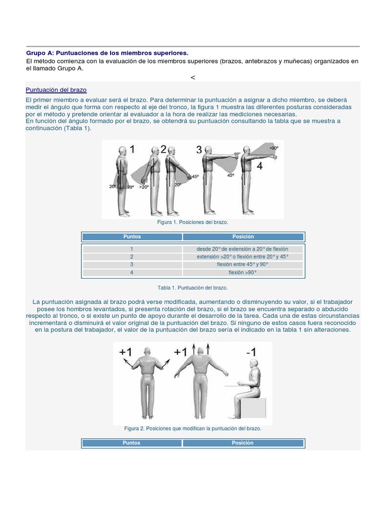 Metodo Rula Manual PDF | PDF