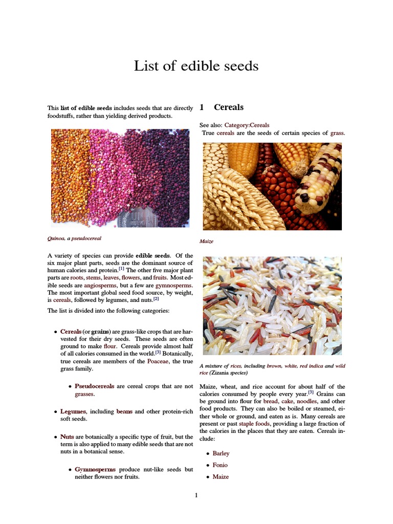 List of Edible Seeds67d | PDF | Nut (Fruit) | Cereals