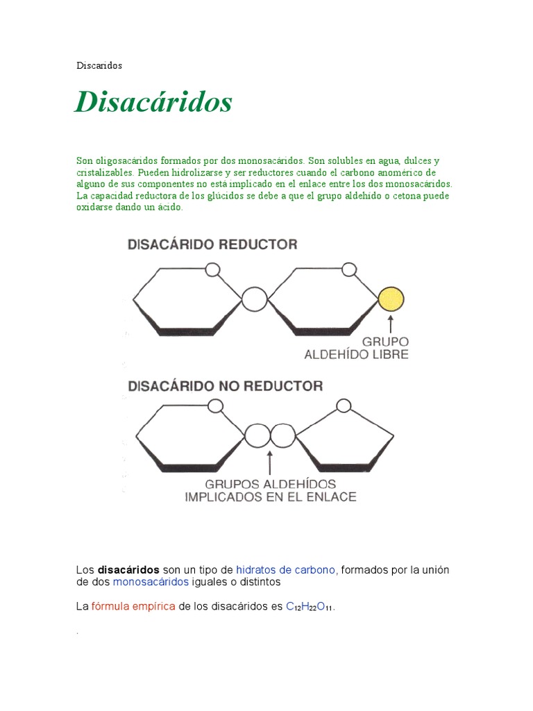 Diagrama De Disacárido