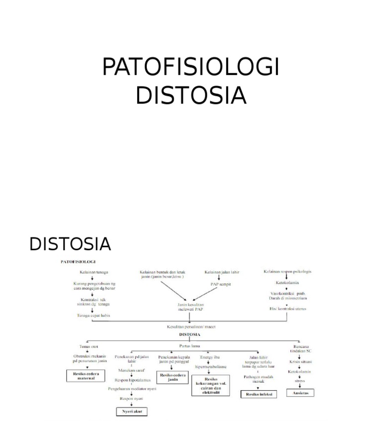 Patofisiologi Distosia | PDF