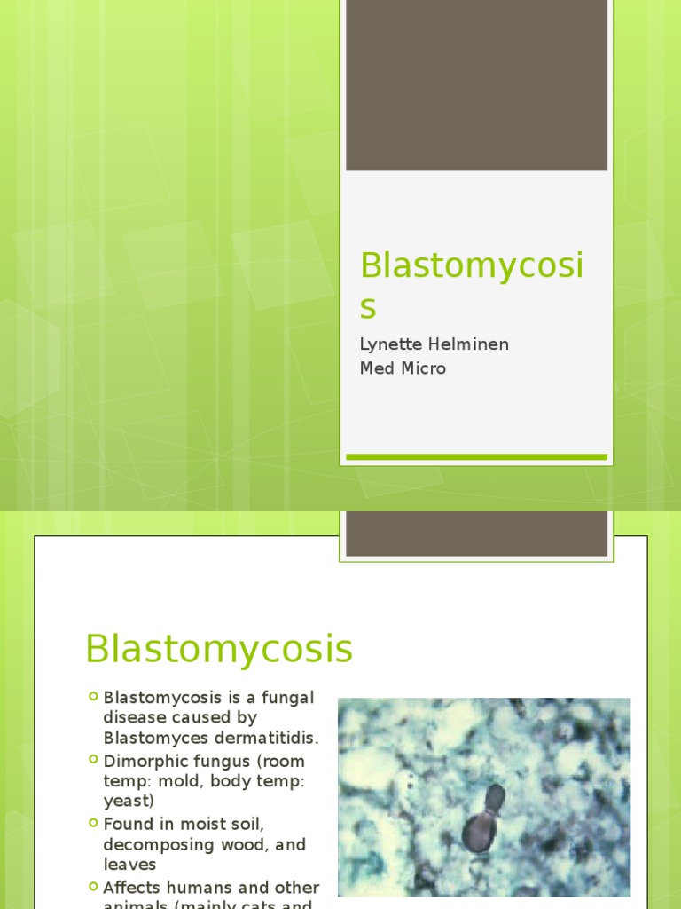 Blastomycosis - Presentation | PDF