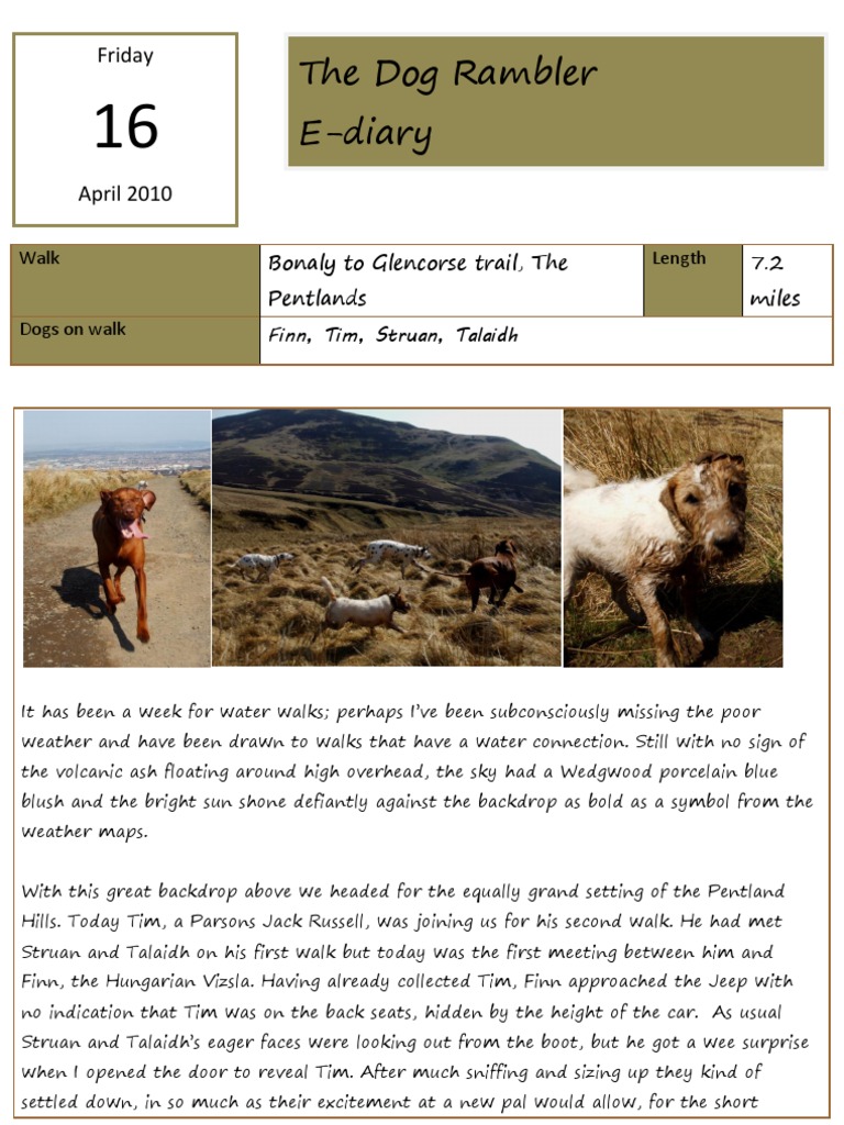 The Dog Rambler E-Diary 16 April 2010 | PDF | Leisure | Nature