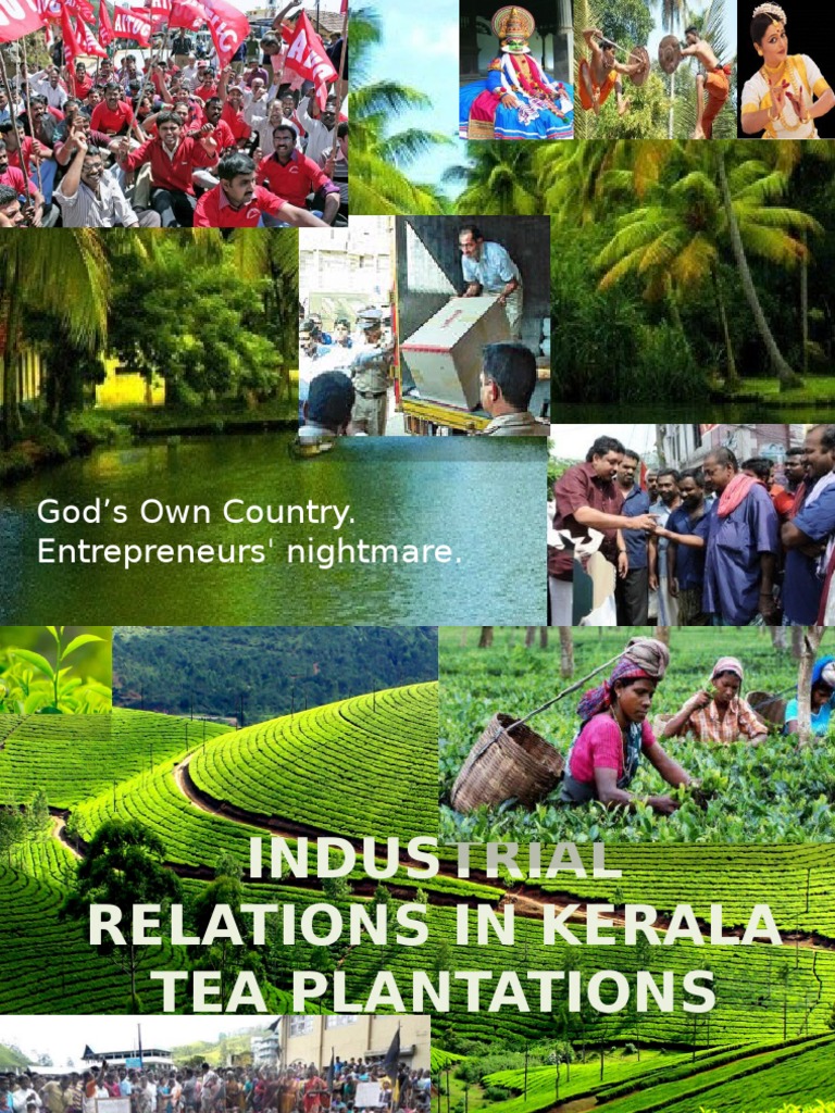 God's Own Country. Entrepreneurs' Nightmare | PDF | Trade Union ...