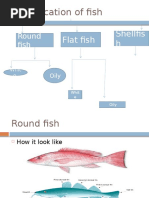 Fish Cuts | PDF