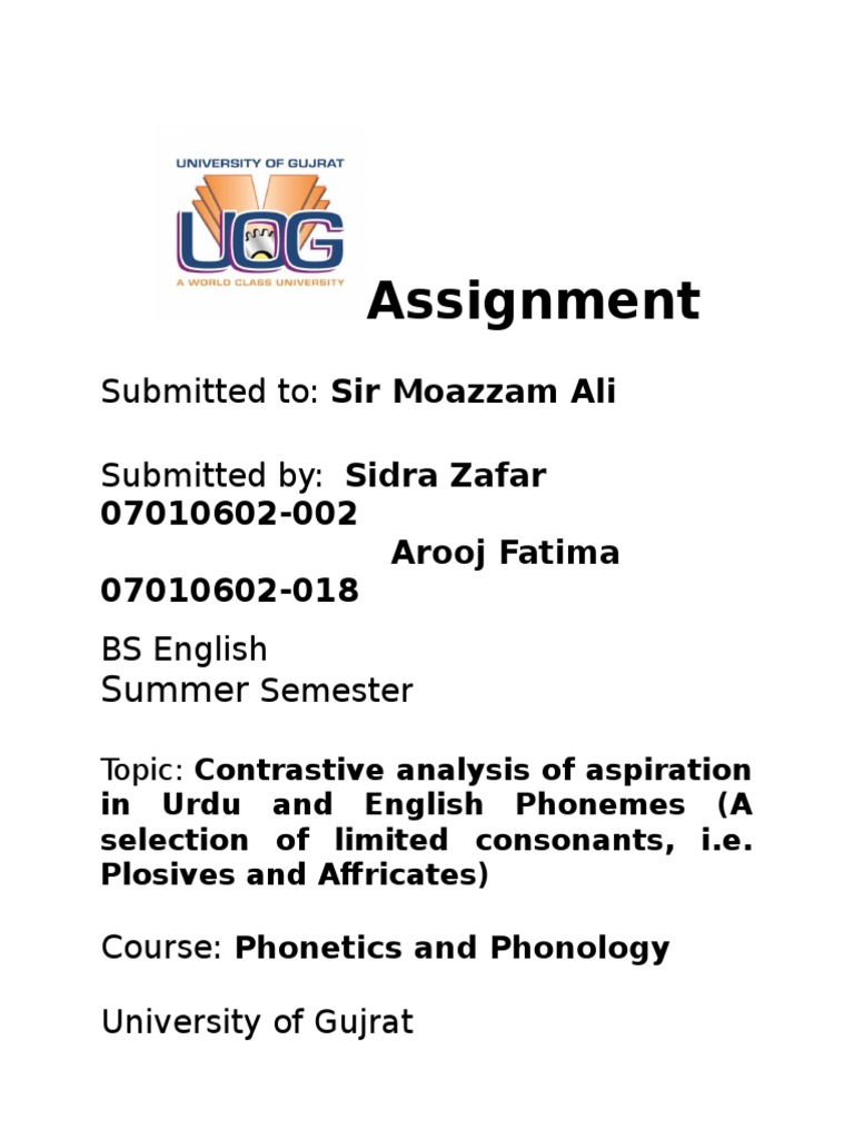 PNP Assignment | PDF | Phoneme | Consonant