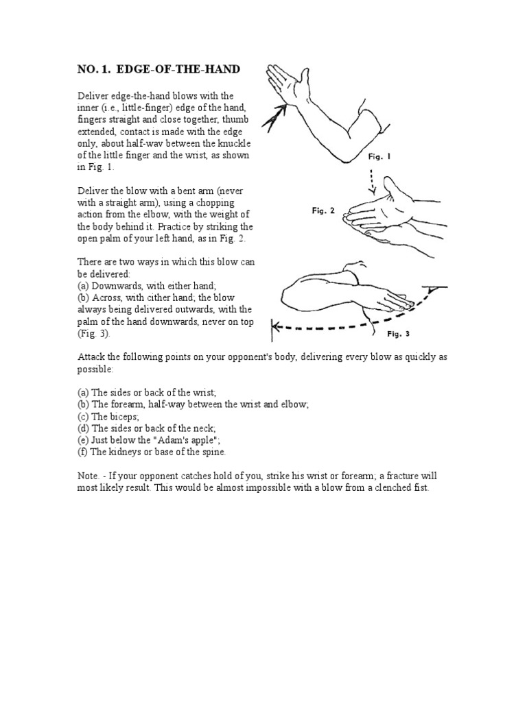 Close Combat Techniques Pdf
