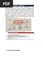NM Beta Lactam Cross Reaction Table | PDF | Penicillin | Antibiotics