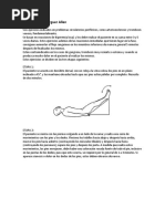 Ejercicios de Codman | PDF | Hombro | Sistema musculoesquelético
