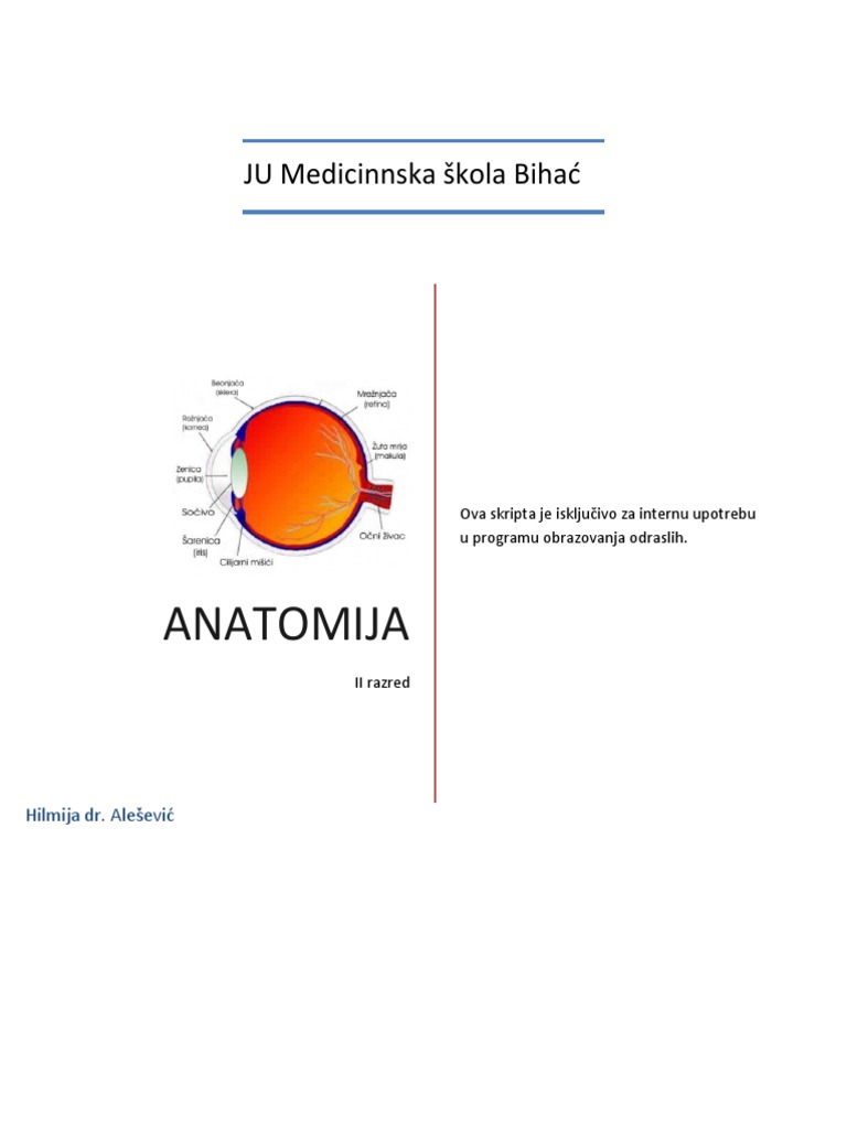 Skripta Anatomija II | PDF