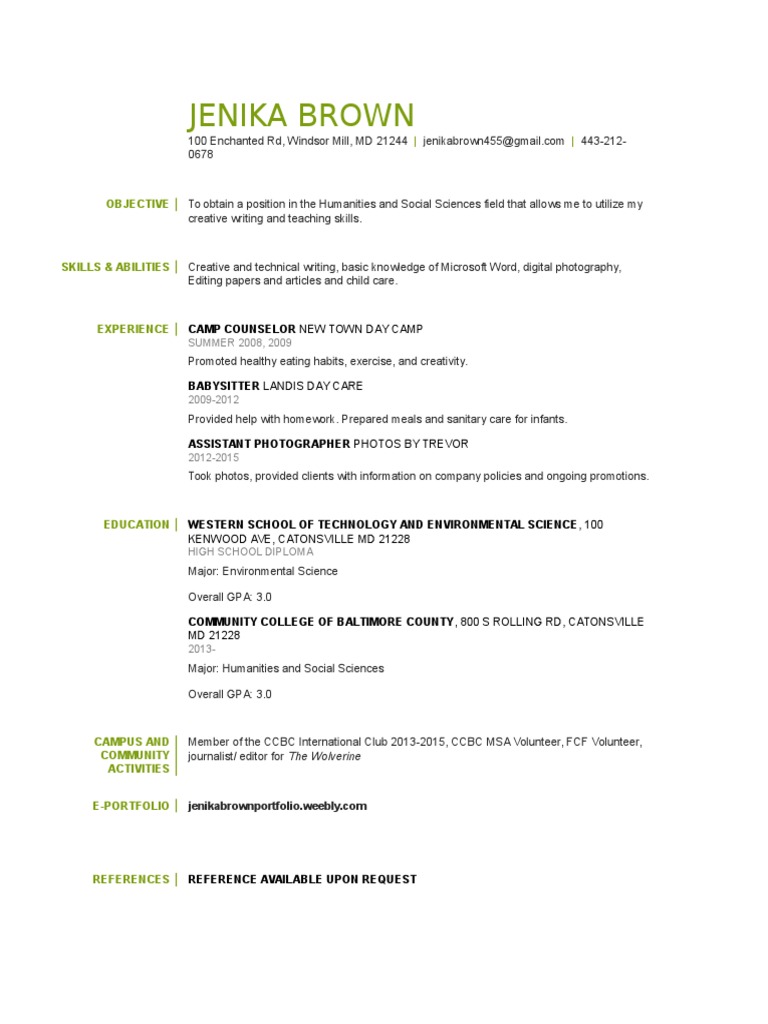 Csit 101 Resume | PDF