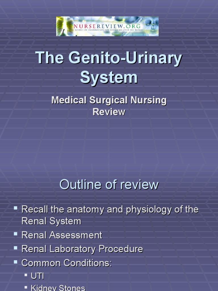 genito urinary system | Urinary Tract Infection | Hemodialysis