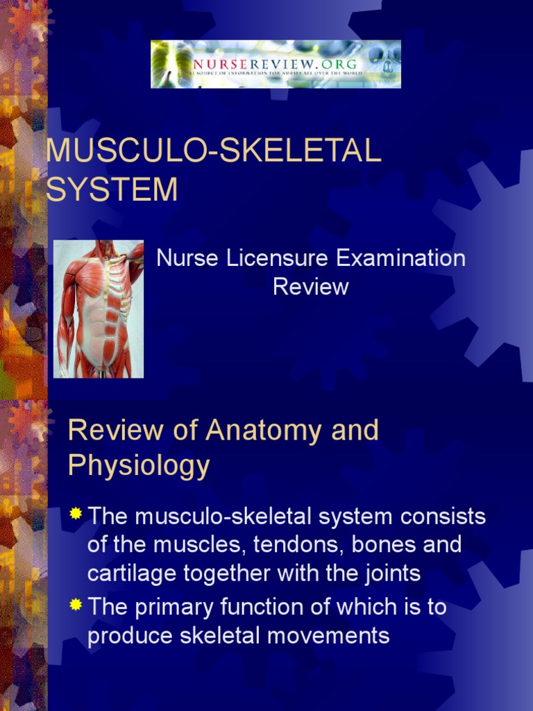 Musculoskeletal System | PDF | Gout | Rheumatoid Arthritis