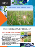 What Is Yellow Biotechnology | PDF | Biotechnology | Meat