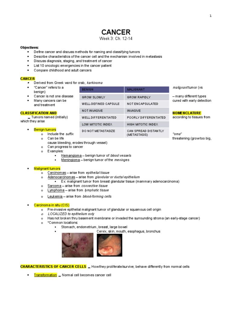 Cancer Pathophysiology Nursing Notes | PDF | Metastasis | Cancer