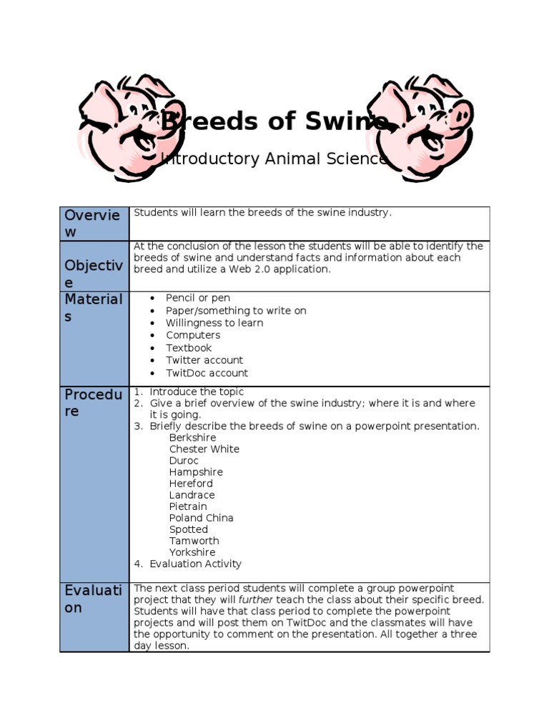 Swine Breeds Overview for Students | PDF