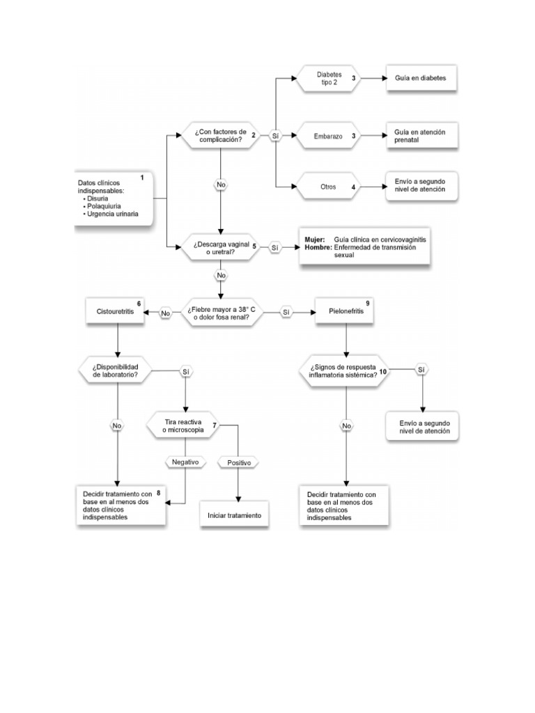Algoritmo IVU No Complicada | PDF | Infección del tracto urinario ...