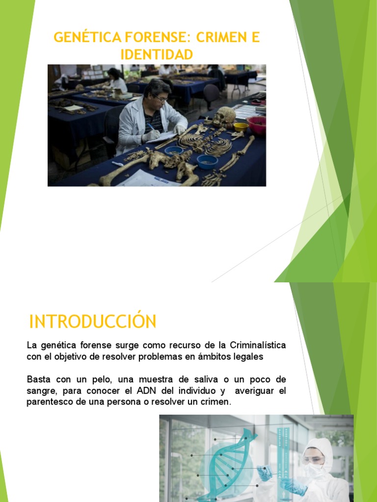 Genética Forense: Análisis y Técnicas | PDF | Microsatélite | Adn ...