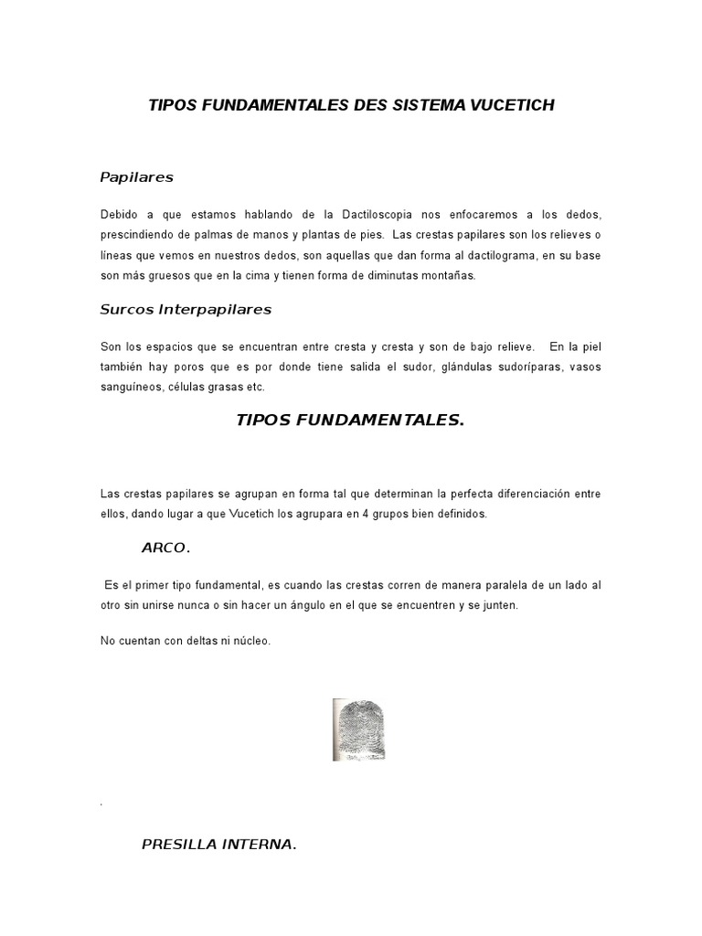 Tipos Fundamentales Des Sistema Vucetich | PDF