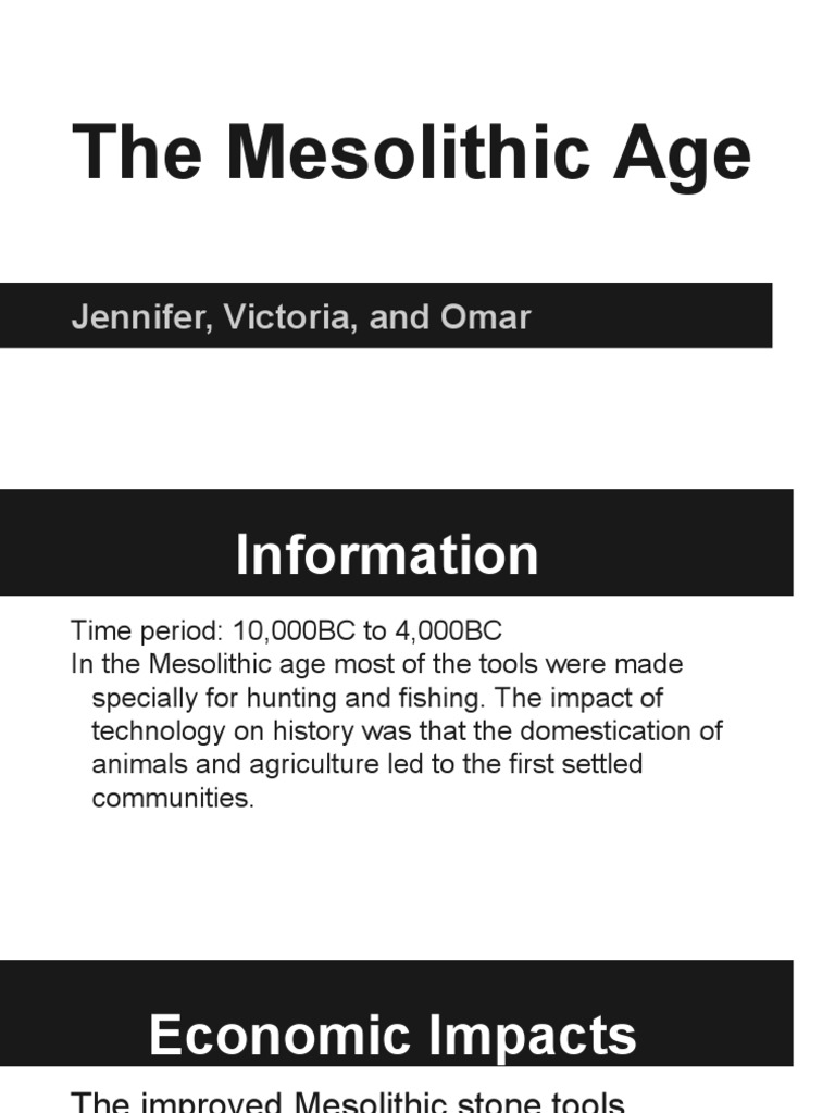 The Mesolithic Age | PDF