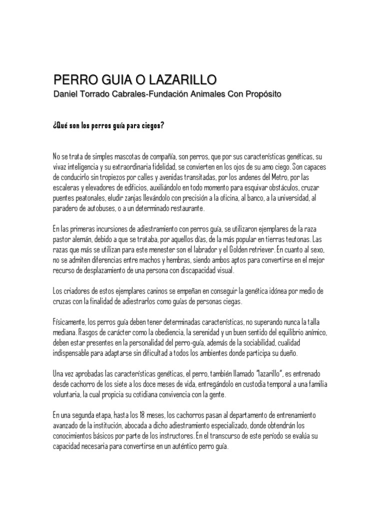 Perro Guia o Lazarillo | PDF | Perros | Los Estados Unidos
