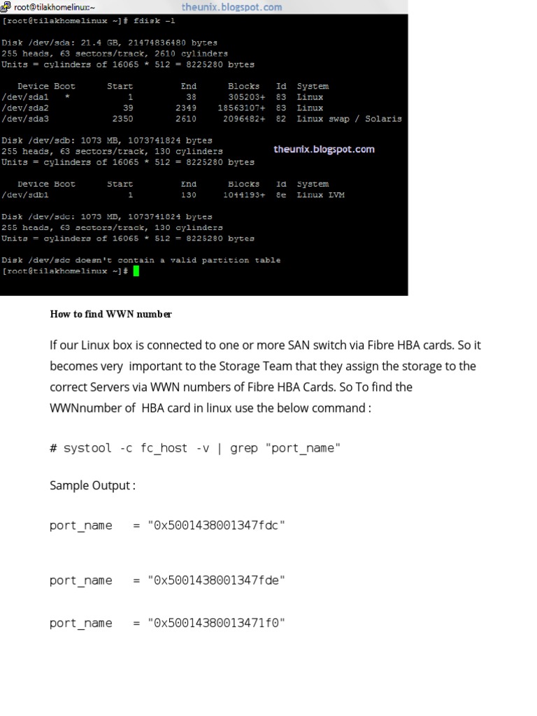 How To Find WWN Number | Download Free PDF | Java (Programming Language ...
