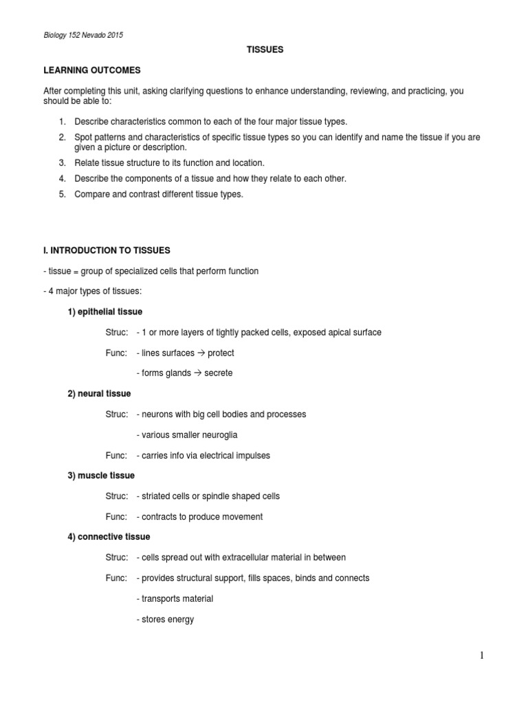 Biol152 Student Blanks - Tissues | PDF | Epithelium | Tissue (Biology)