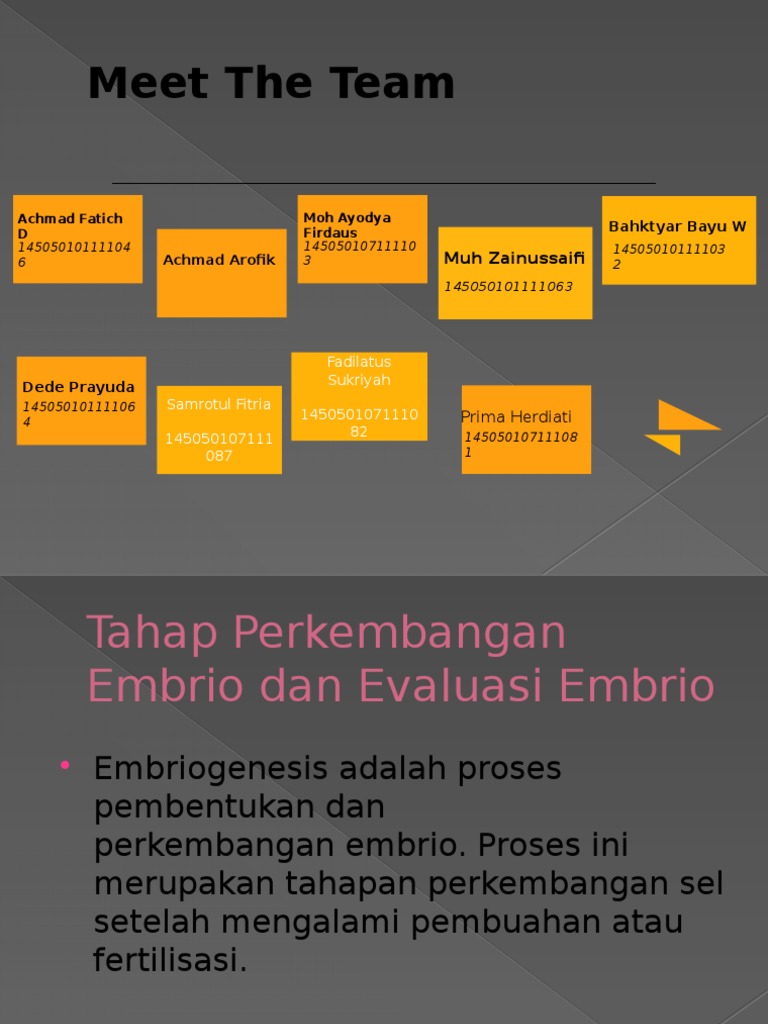 Tahap Tahap Perkembangan Embrio | PDF